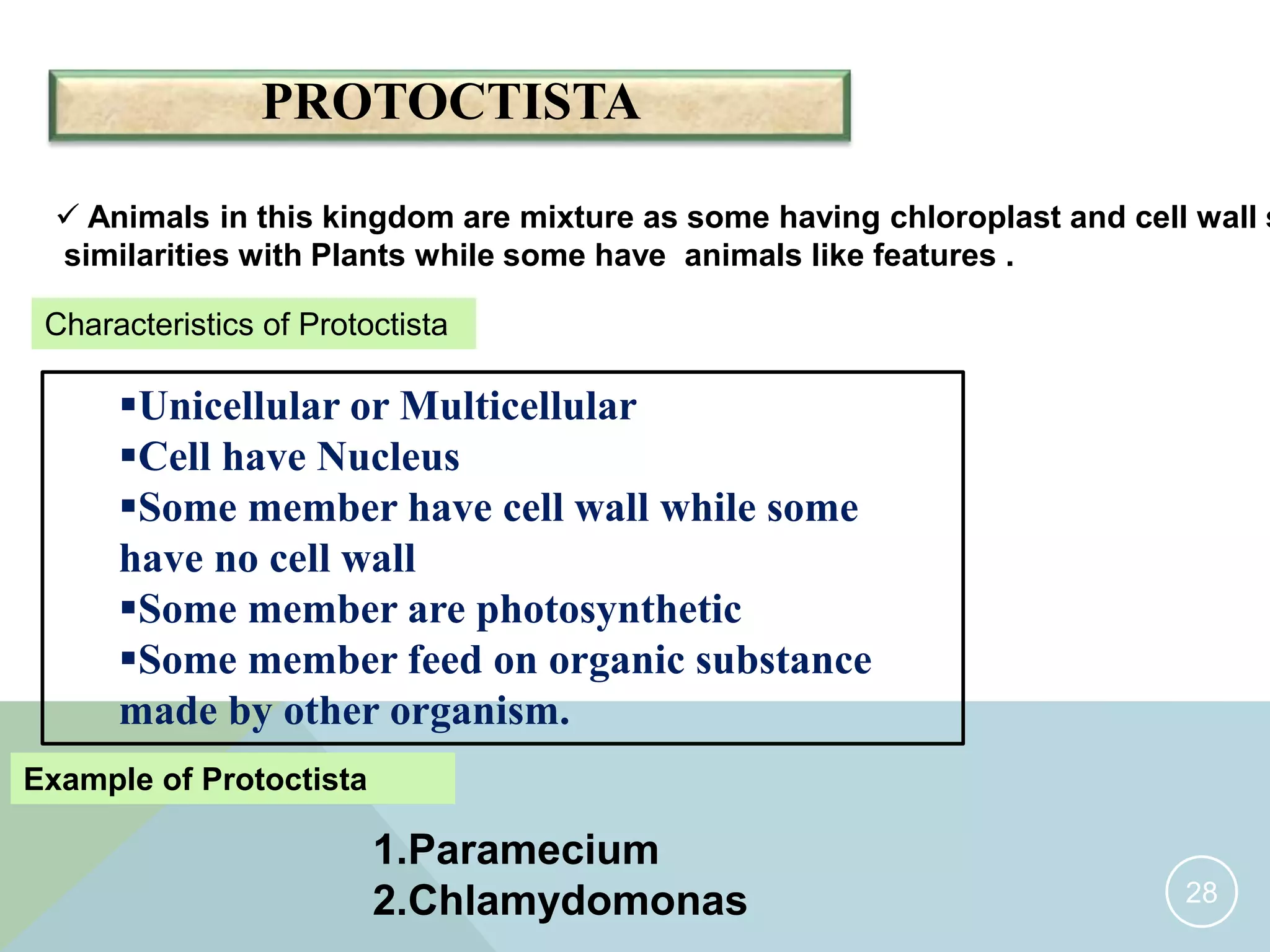 Characteristics and classification of living organisms igcse o level ...