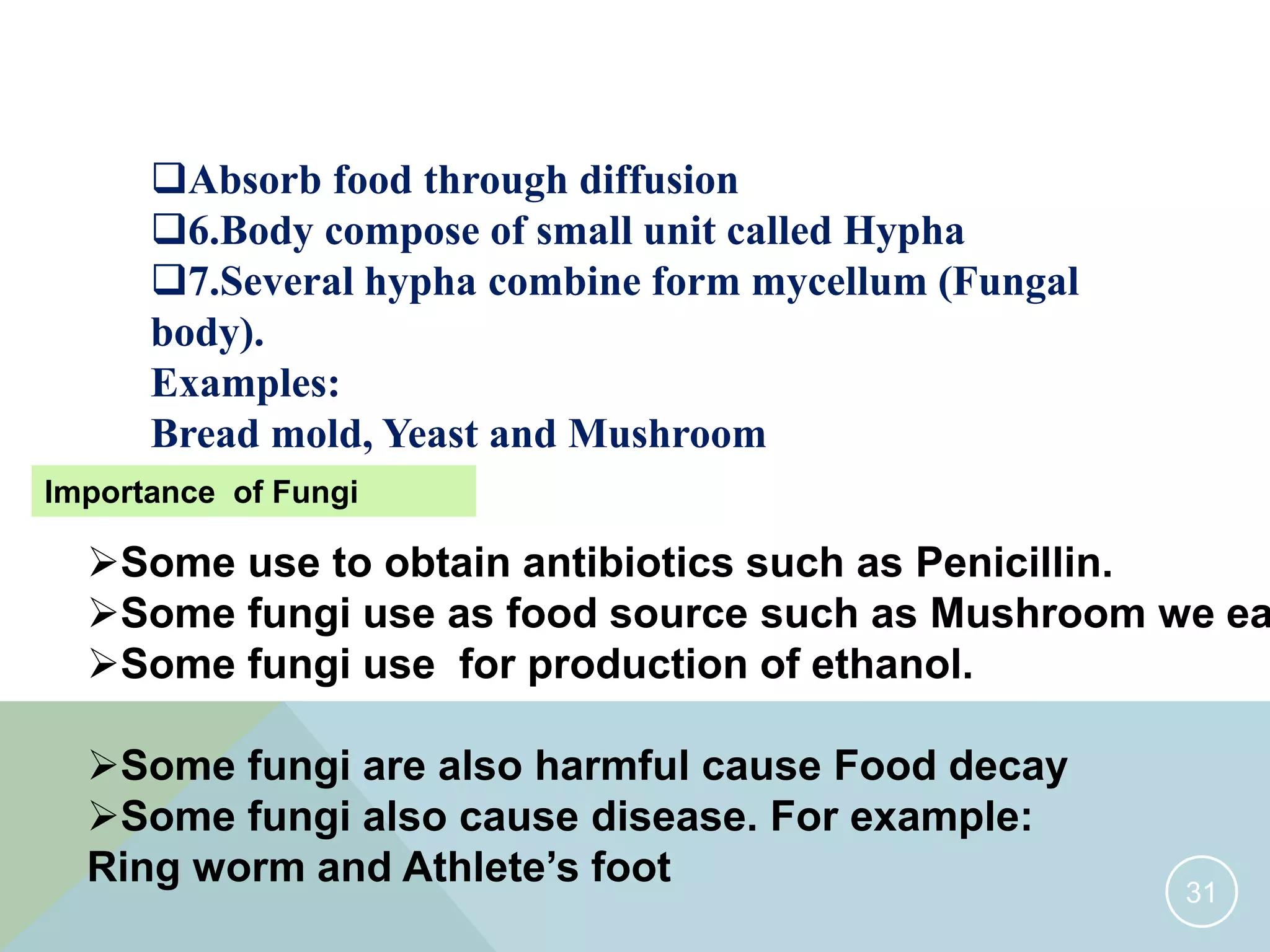 Characteristics and classification of living organisms igcse o level ...