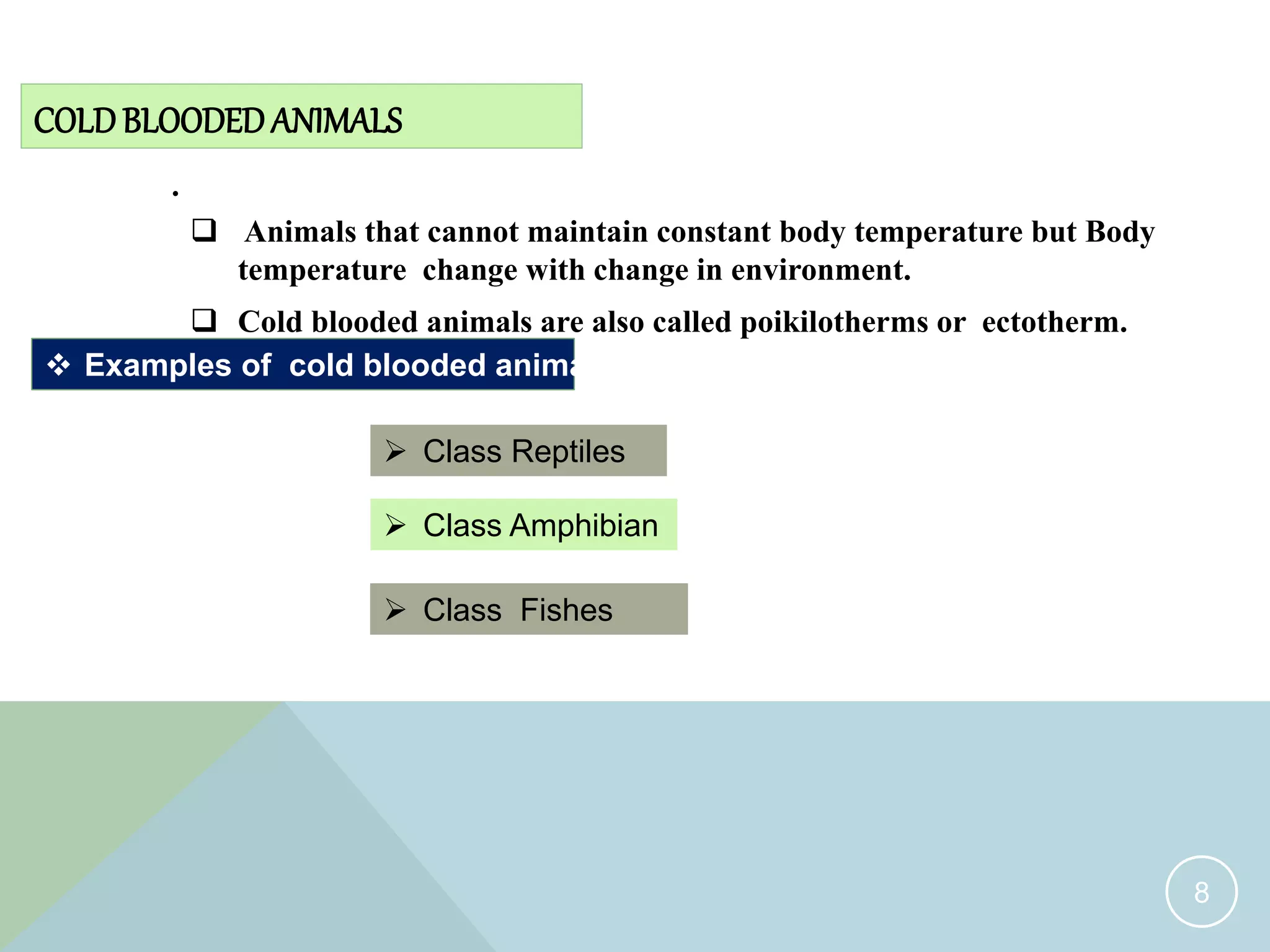 Characteristics and classification of living organisms igcse o level ...