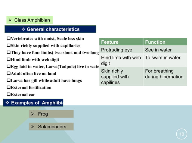 Characteristics and classification of living organisms igcse o level ...