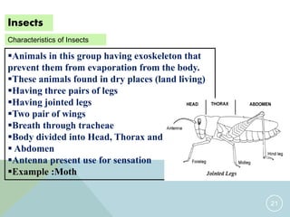 Characteristics and classification of living organisms igcse o level ...