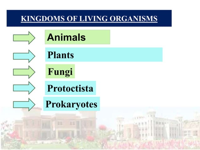 Characteristics and classification of living organisms igcse o level ...