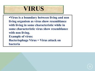 Characteristics and classification of living organisms igcse o level ...