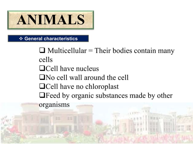 Characteristics and classification of living organisms igcse o level ...