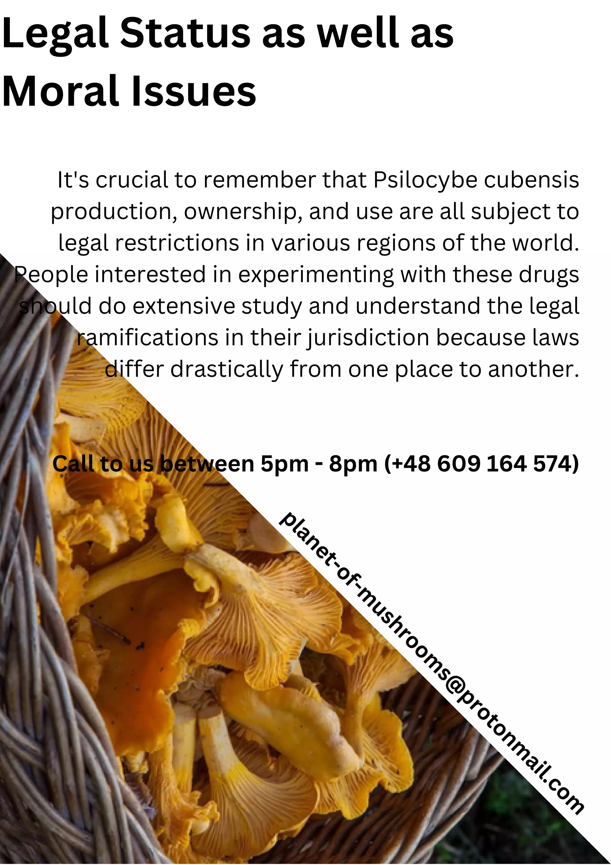 Characteristics and Functions of Psilocybe Cubensis Spores.pdf