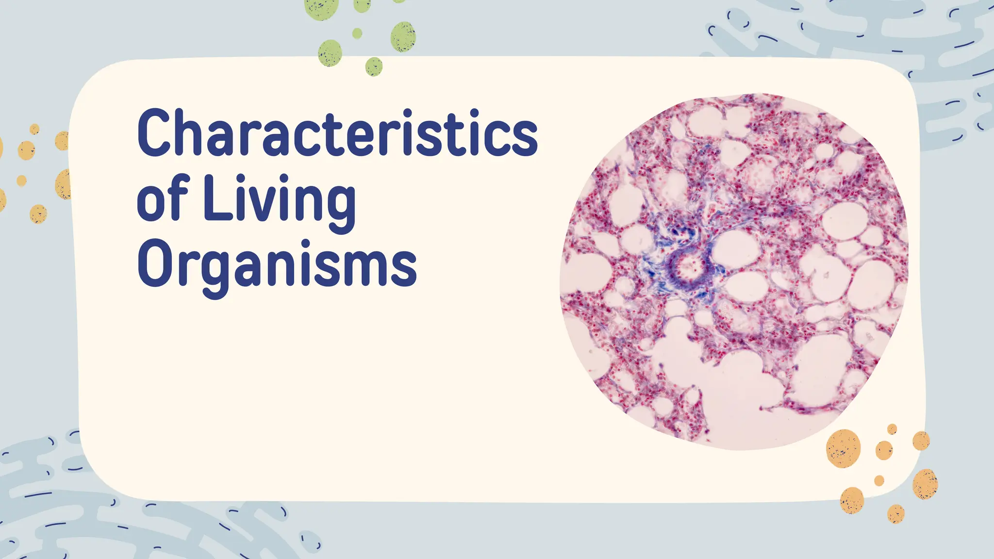 IGCSE BIOLOGY-Characteristics & Classification of Living Organisms.pdf.pdf