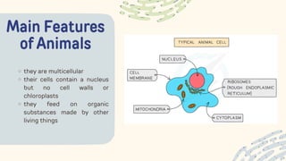 IGCSE BIOLOGY-Characteristics & Classification of Living Organisms.pdf.pdf