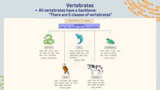 IGCSE BIOLOGY-Characteristics & Classification of Living Organisms.pdf.pdf