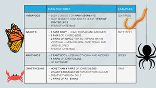 IGCSE BIOLOGY-Characteristics & Classification of Living Organisms.pdf.pdf