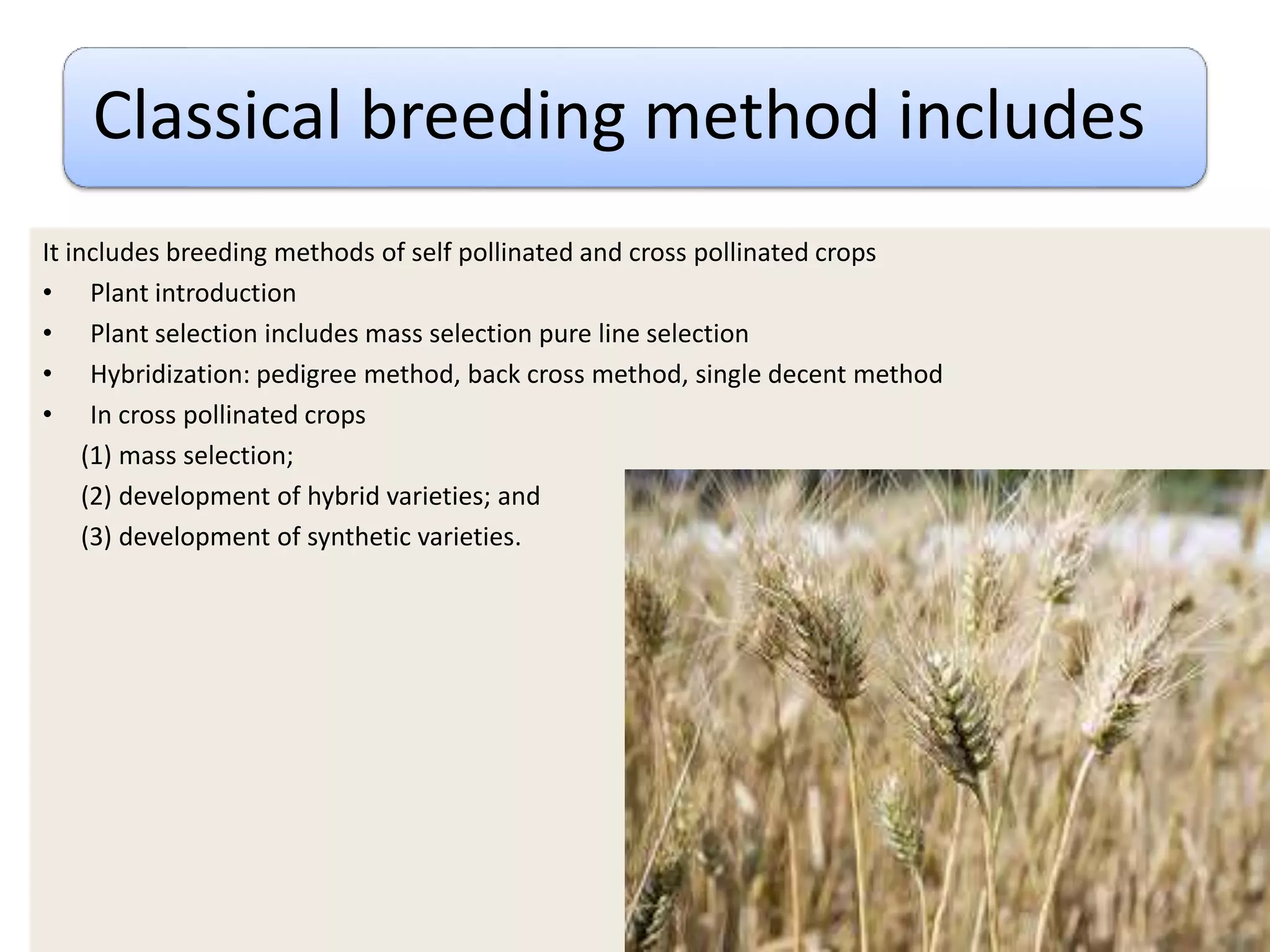 Characteristics Improvement in Plant Breeding | PPTX | Agriculture ...