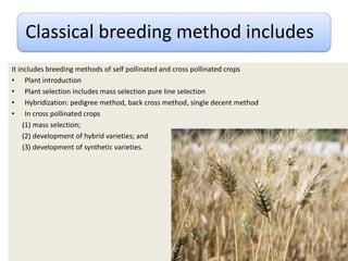 Characteristics Improvement in Plant Breeding | PPT