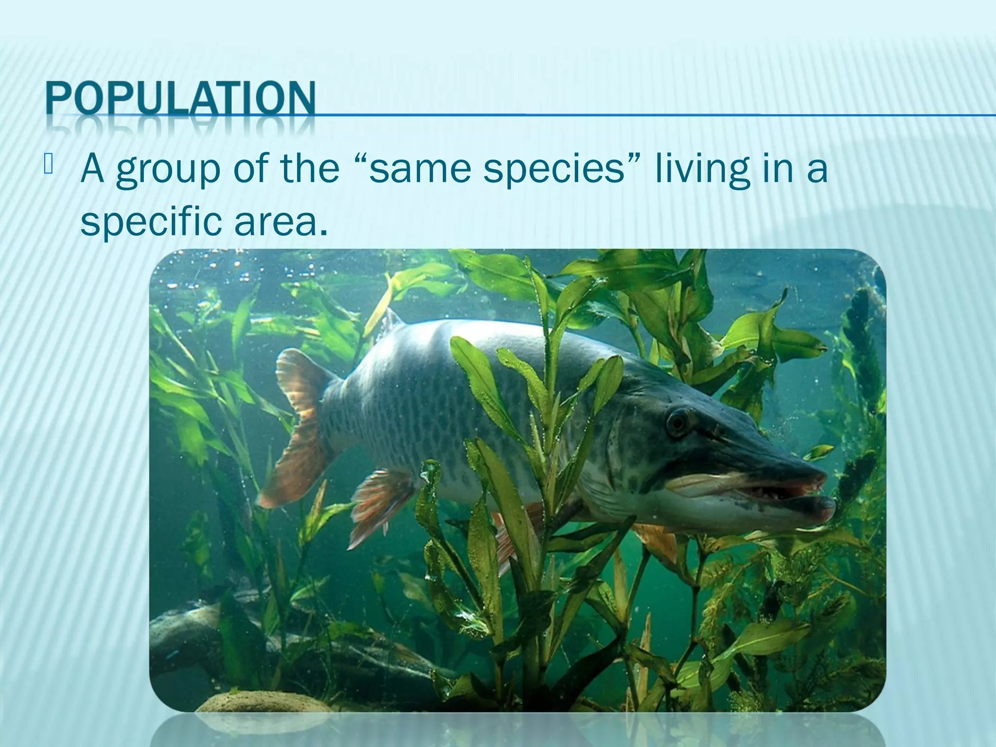 Characteristics life final | PPT