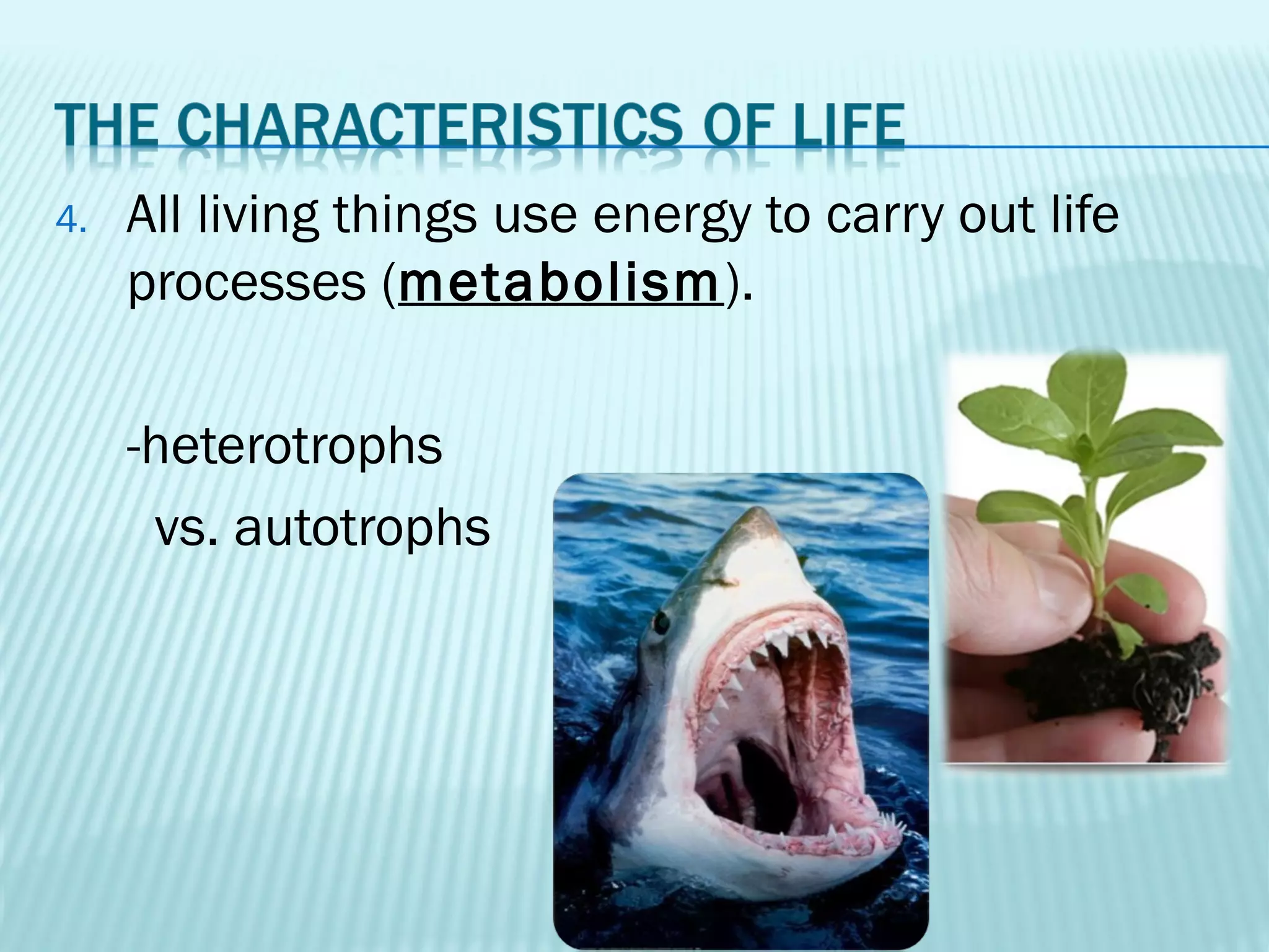 Characteristics life final | PPT