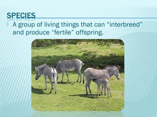 Characteristics life final | PPT