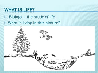Characteristics life final | PPT