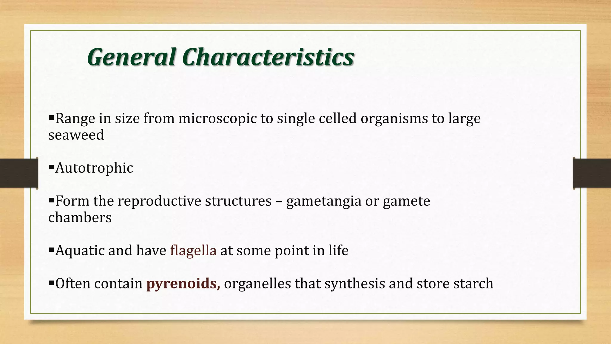 Characteristics of algae | PPTX