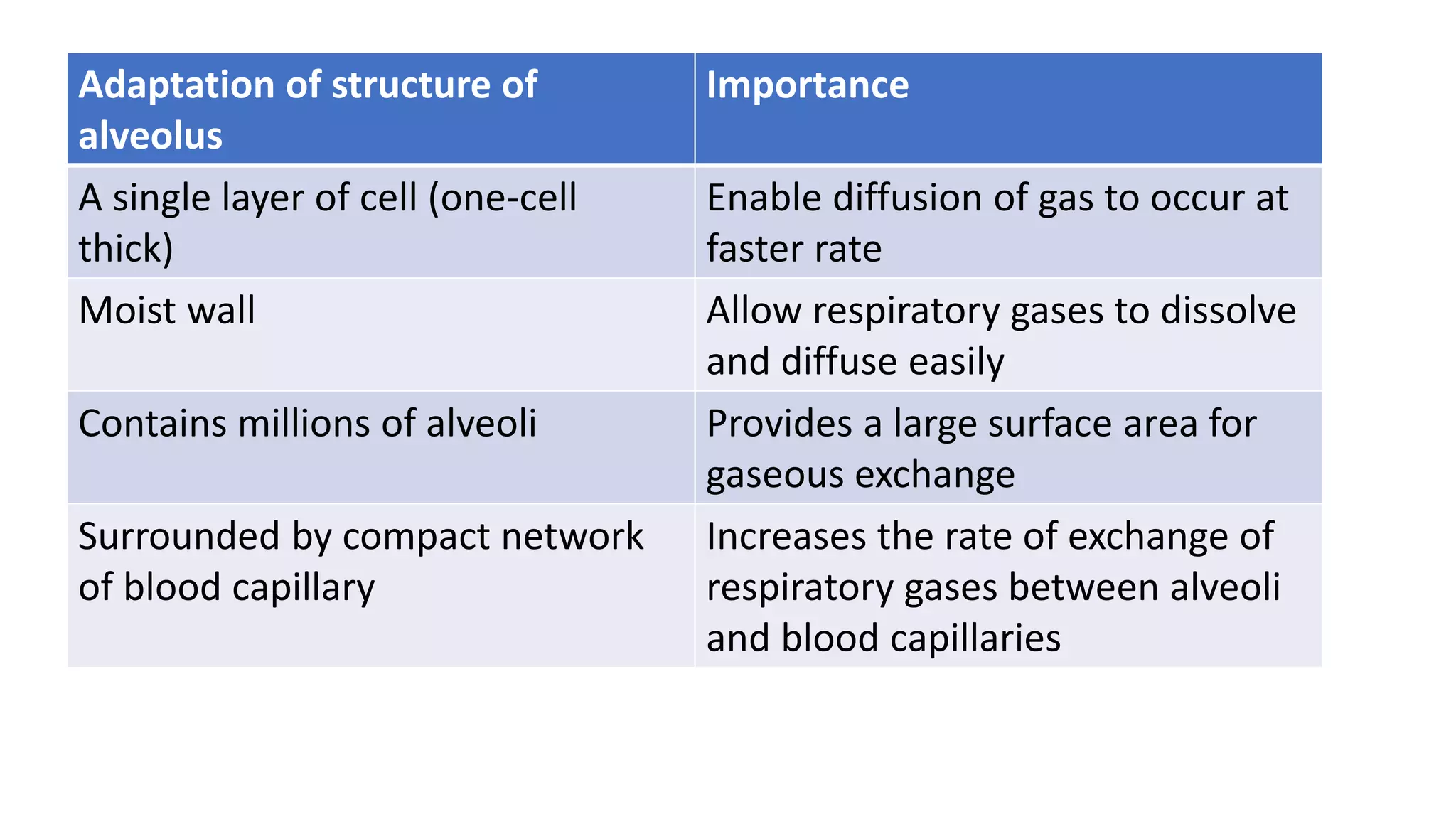 characteristics of alveolus.pptx