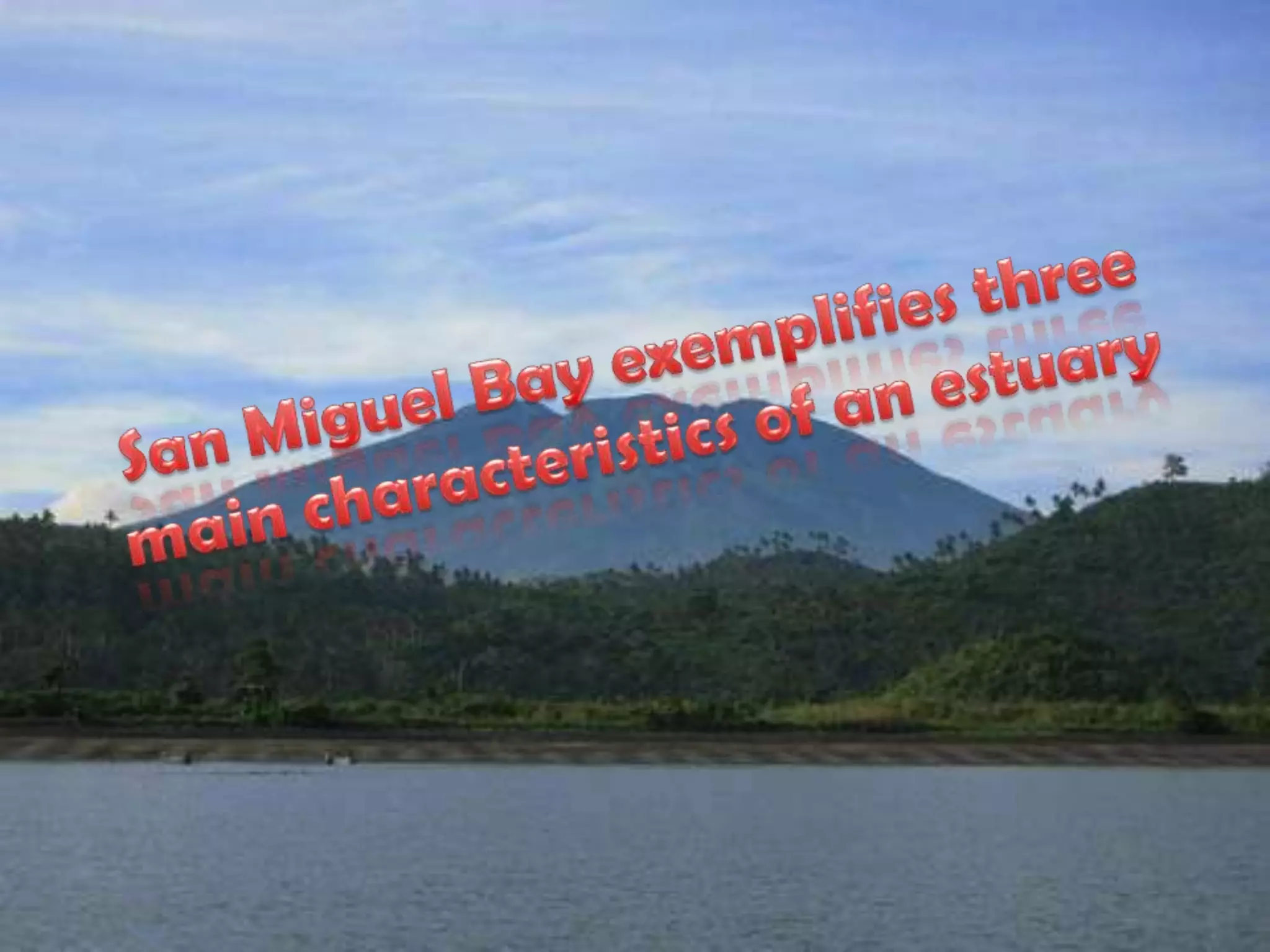 Characteristics of an estuary | PPTX