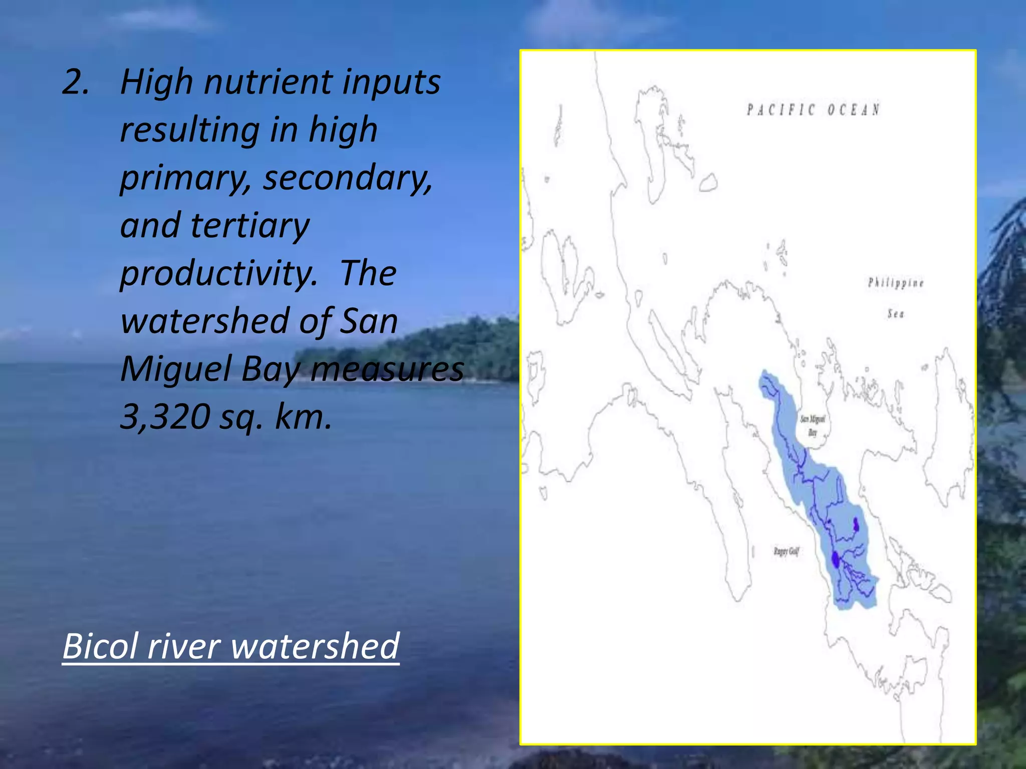 Characteristics of an estuary | PPTX