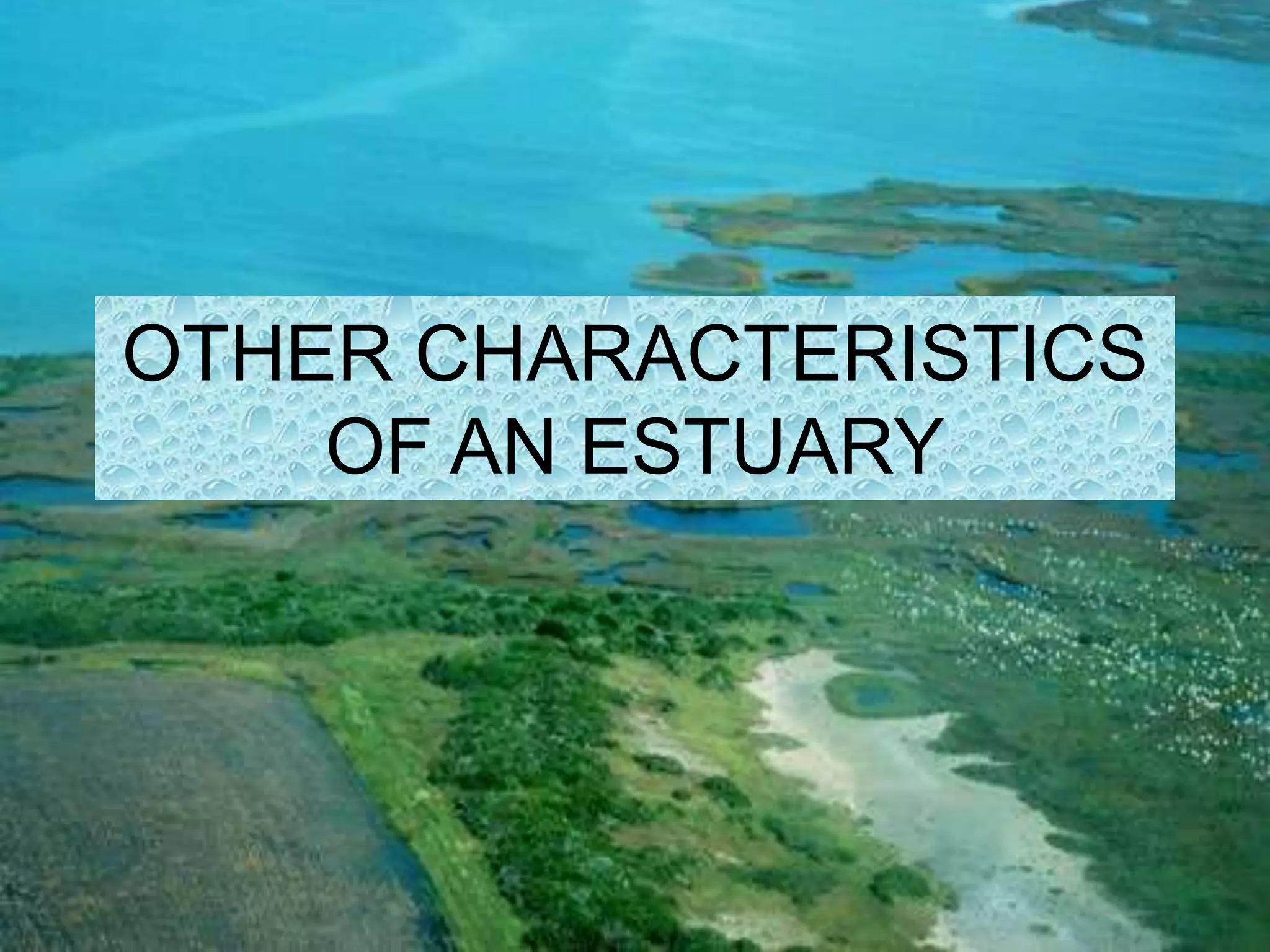 Characteristics of an estuary | PPTX