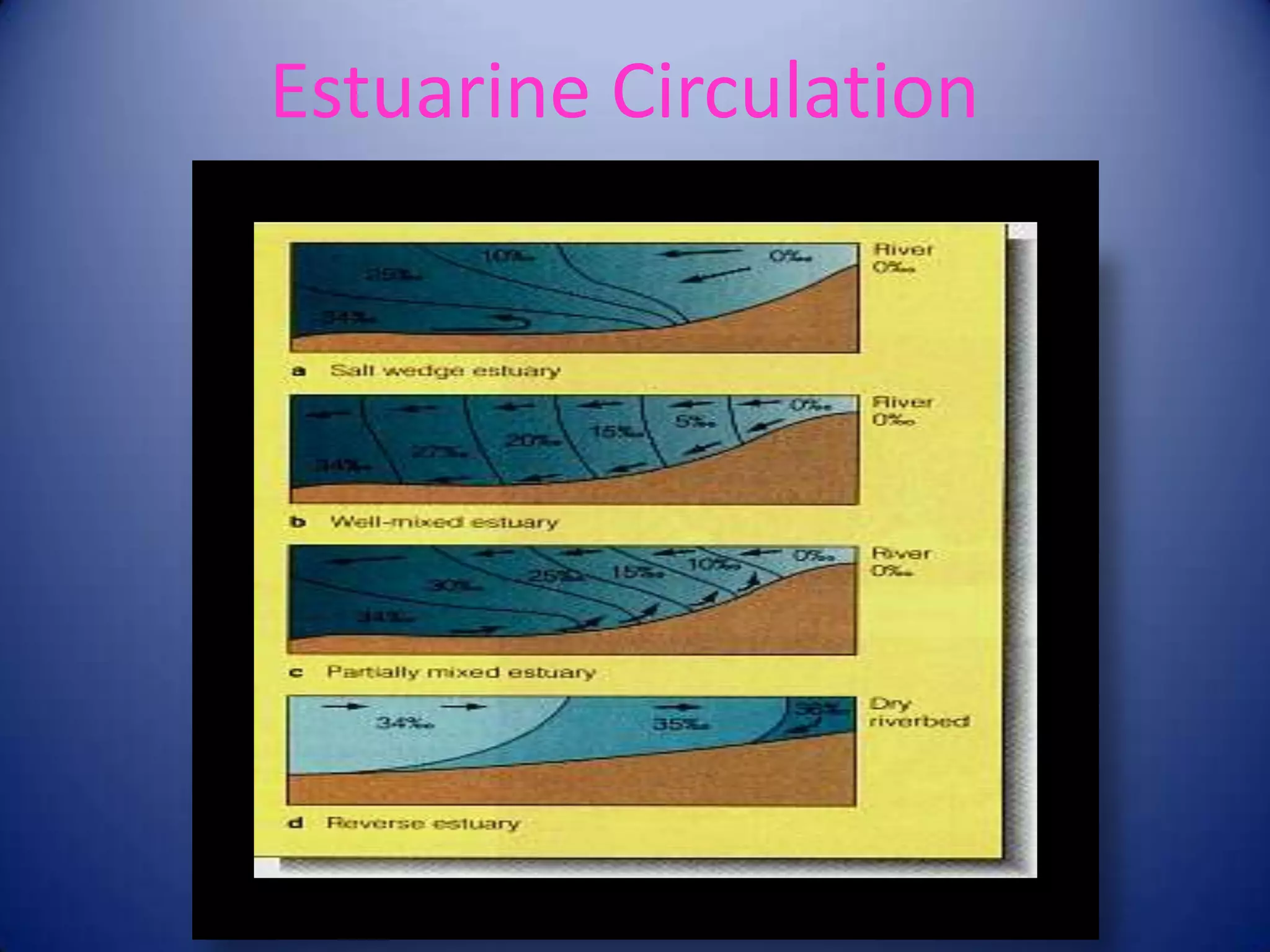 Characteristics of an estuary | PPTX
