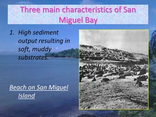 Characteristics of an estuary | PPTX