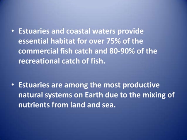 Characteristics of an estuary | PPTX