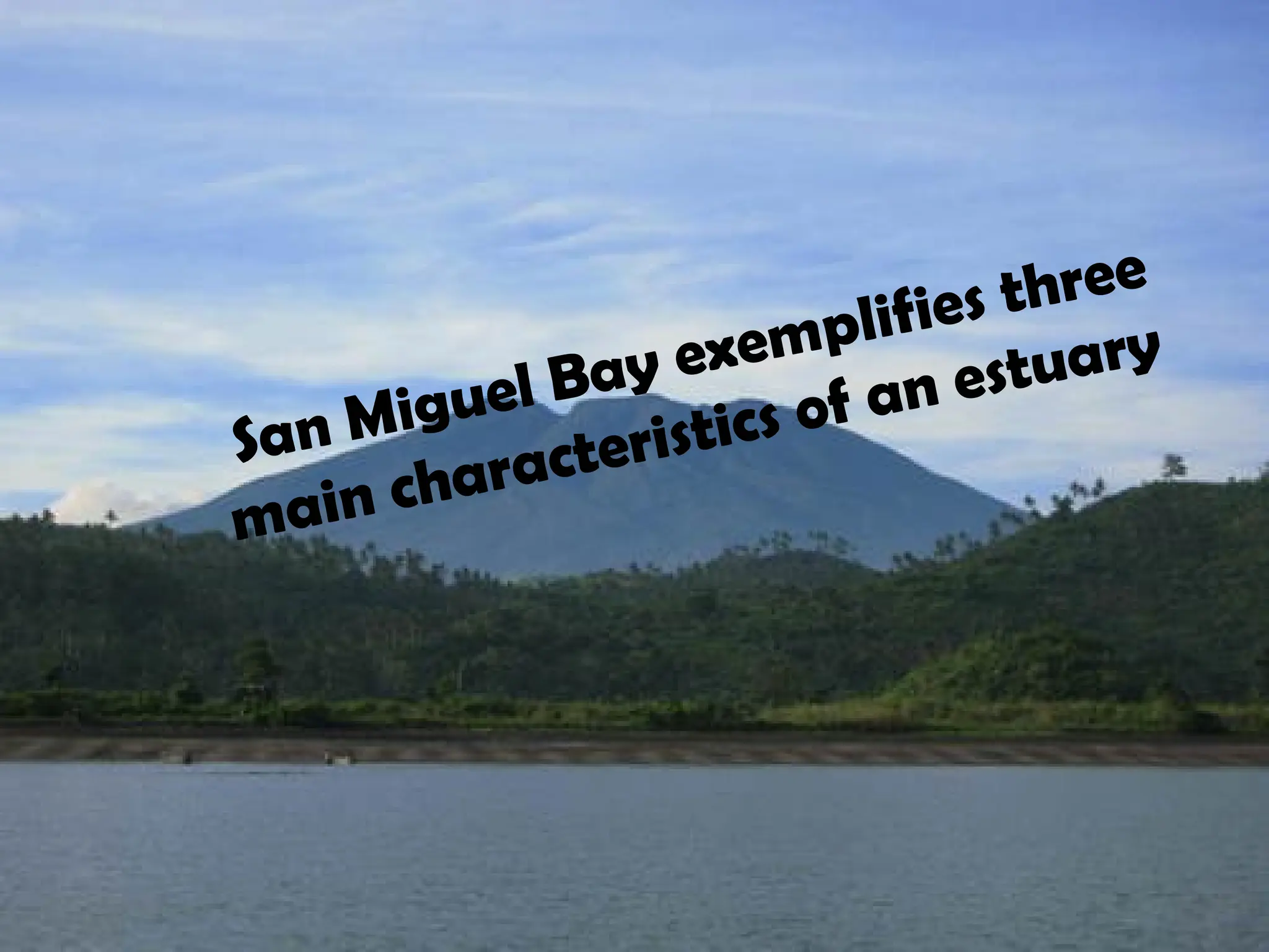 characteristics of an estuary grade 5 lesson.pptx