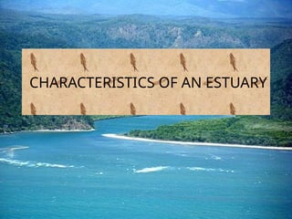 characteristics of an estuary grade 5 lesson.pptx