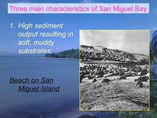 characteristics of an estuary grade 5 lesson.pptx