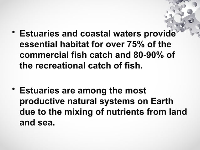 characteristics of an estuary grade 5 lesson.pptx
