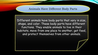 Characteristics of animals | PPTX