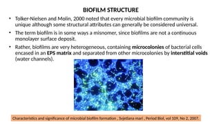 Characteristics of Bacterial Biofilm(Edited) [Autosaved].pptx