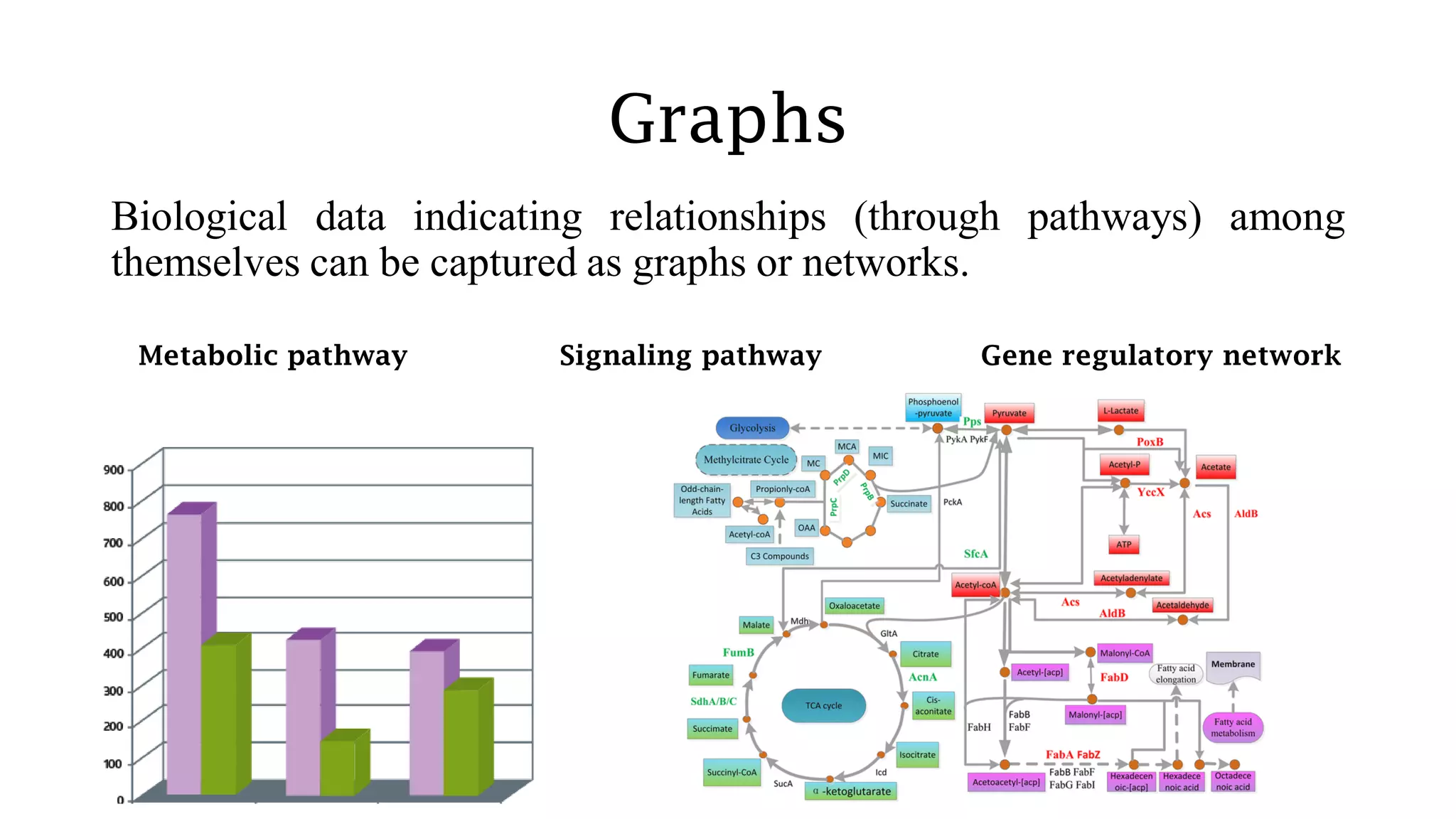 Characteristics of biological databases | PDF