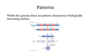 Characteristics of biological databases | PDF