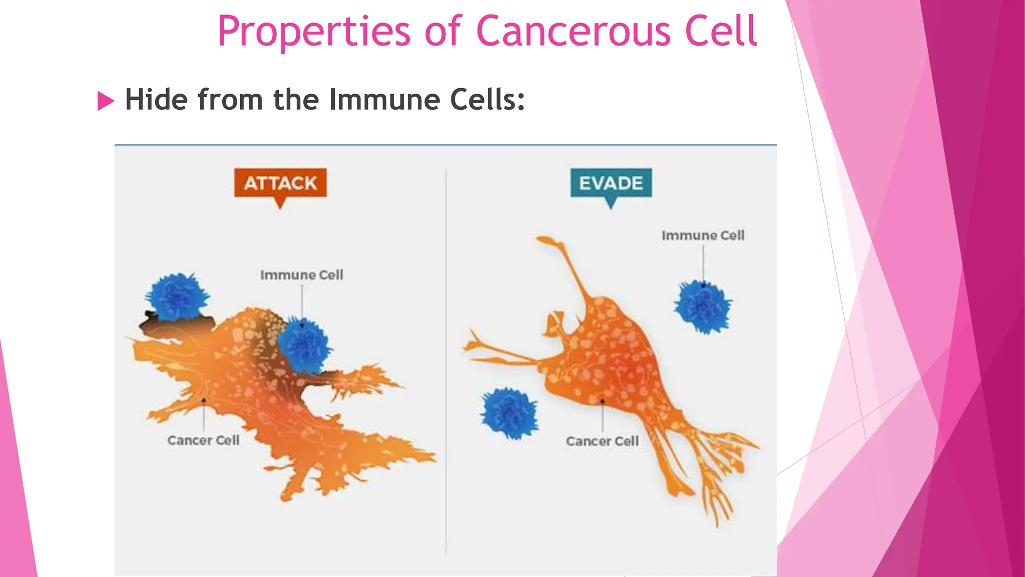 Characteristics of cancerous cell.pptx