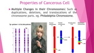 Characteristics of cancerous cell.pptx