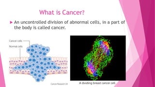 Characteristics of cancerous cell.pptx