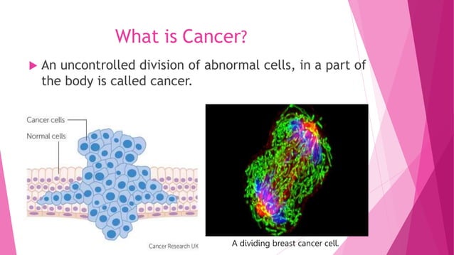 Characteristics of cancerous cell.pptx