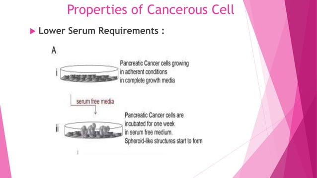 Characteristics of cancerous cell.pptx