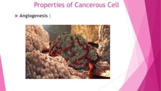 Characteristics of cancerous cell.pptx