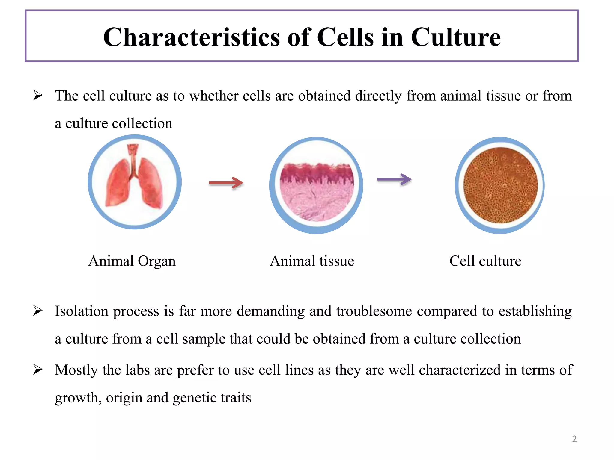 Characteristics of cells in culture | PPTX