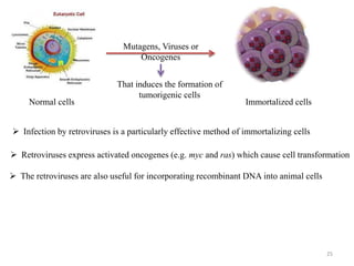 Characteristics of cells in culture | PPTX