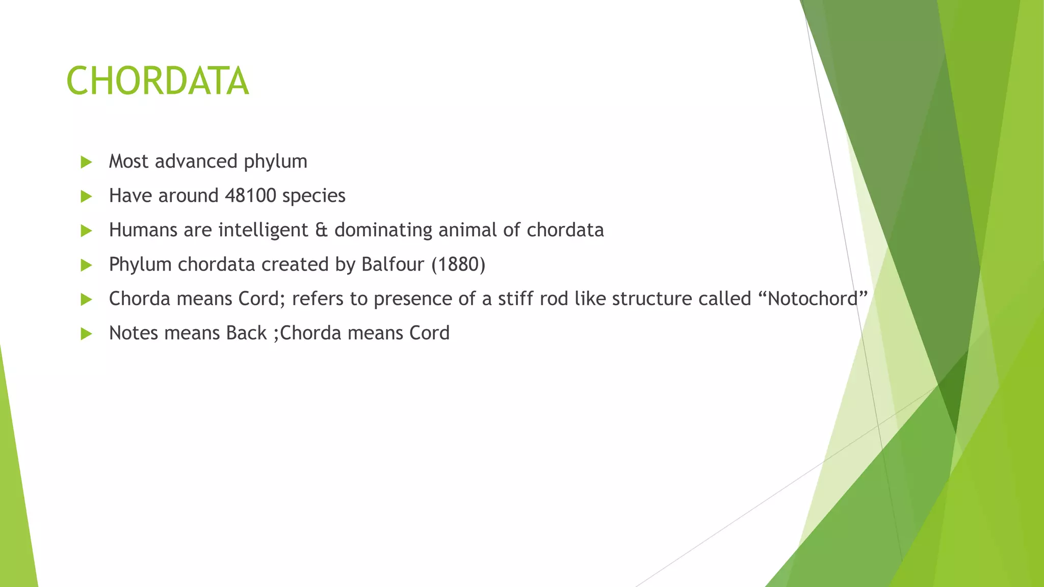 Characteristics of chordata1 | PPTX