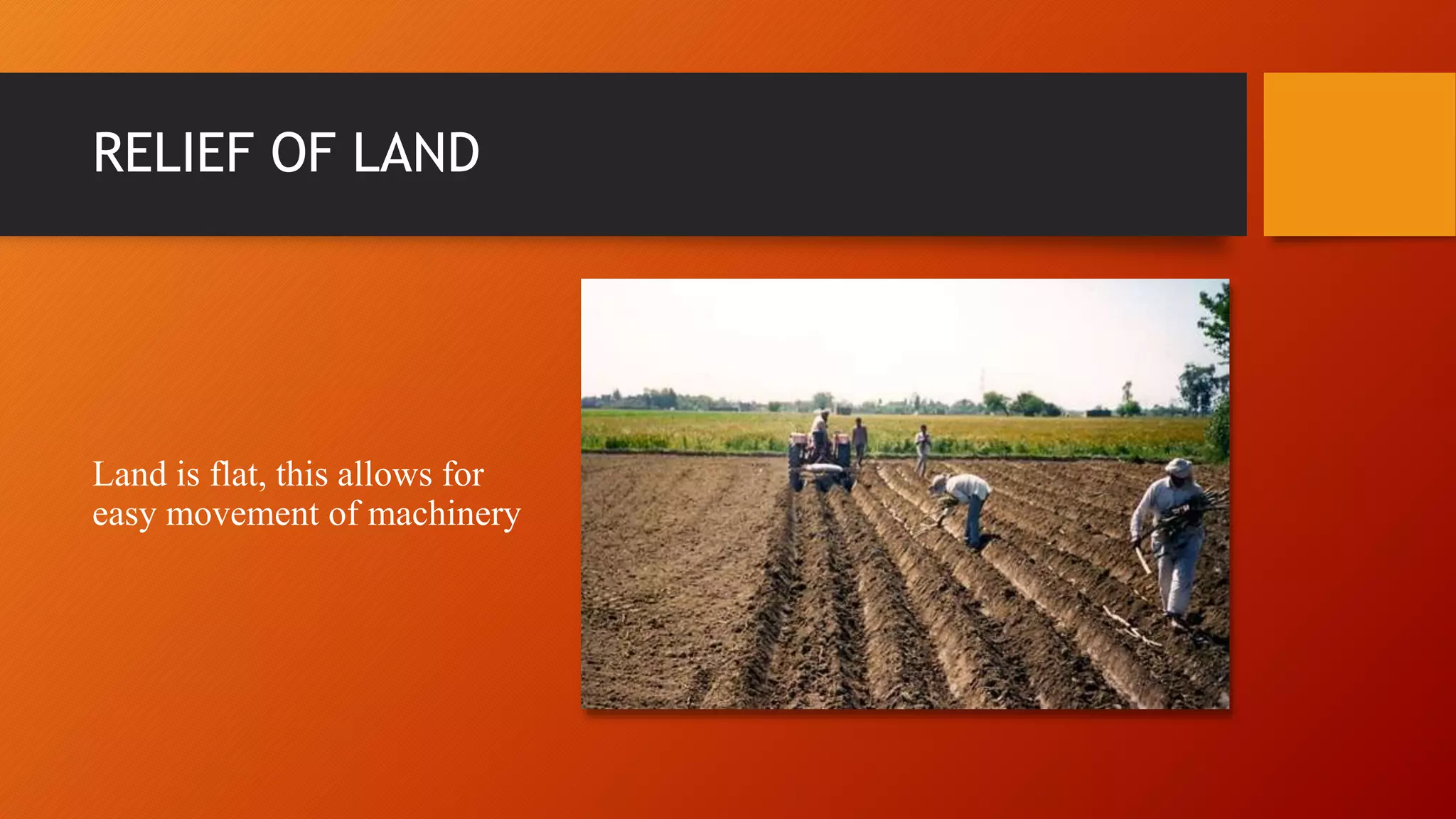 Characteristics of commercial arable farming | PPTX