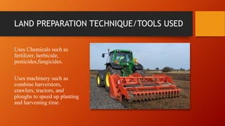 Characteristics of commercial arable farming | PPTX