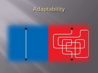 Characteristics Of Cross Border Leaders