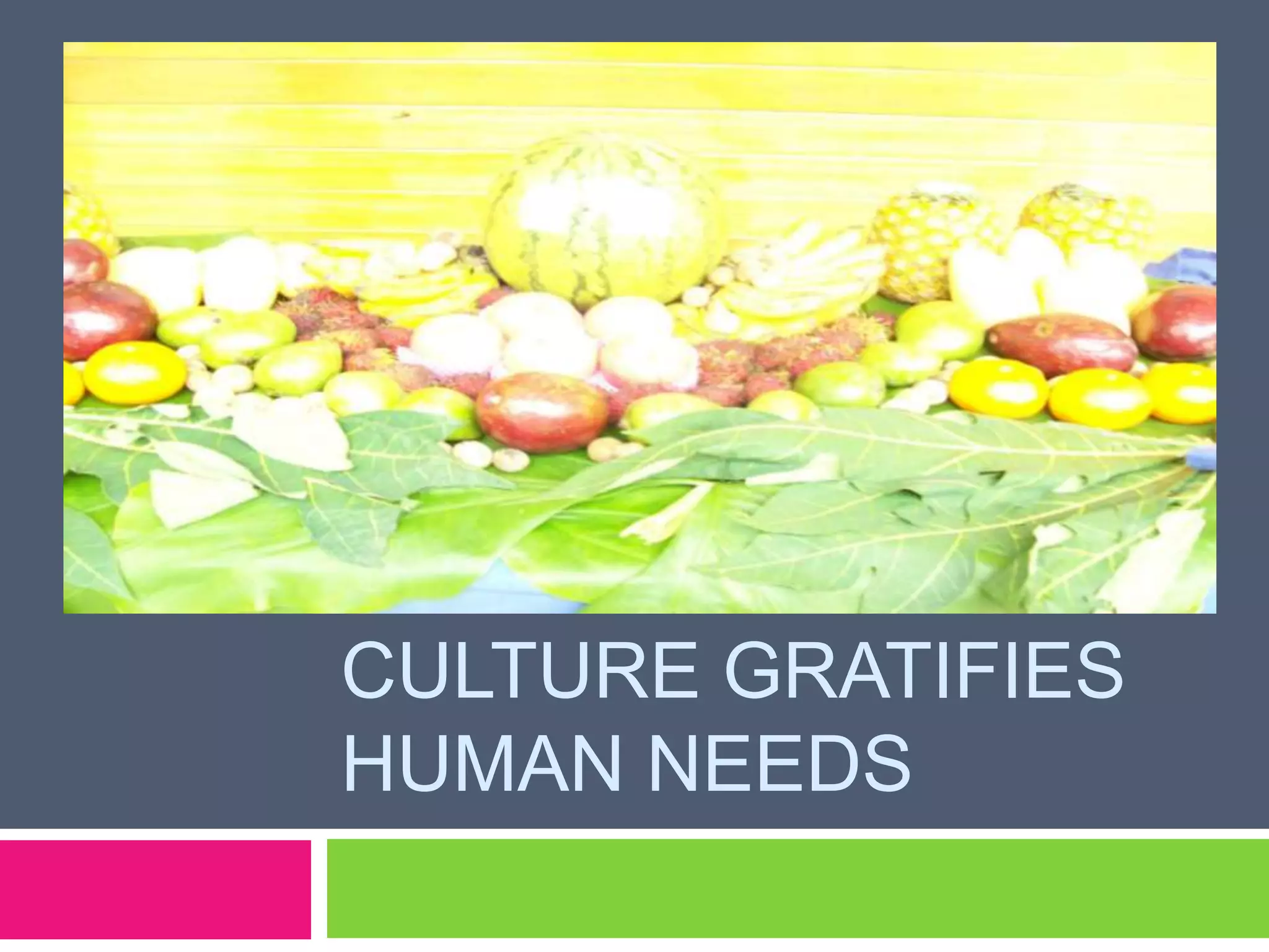 Characteristics of culture | PPTX