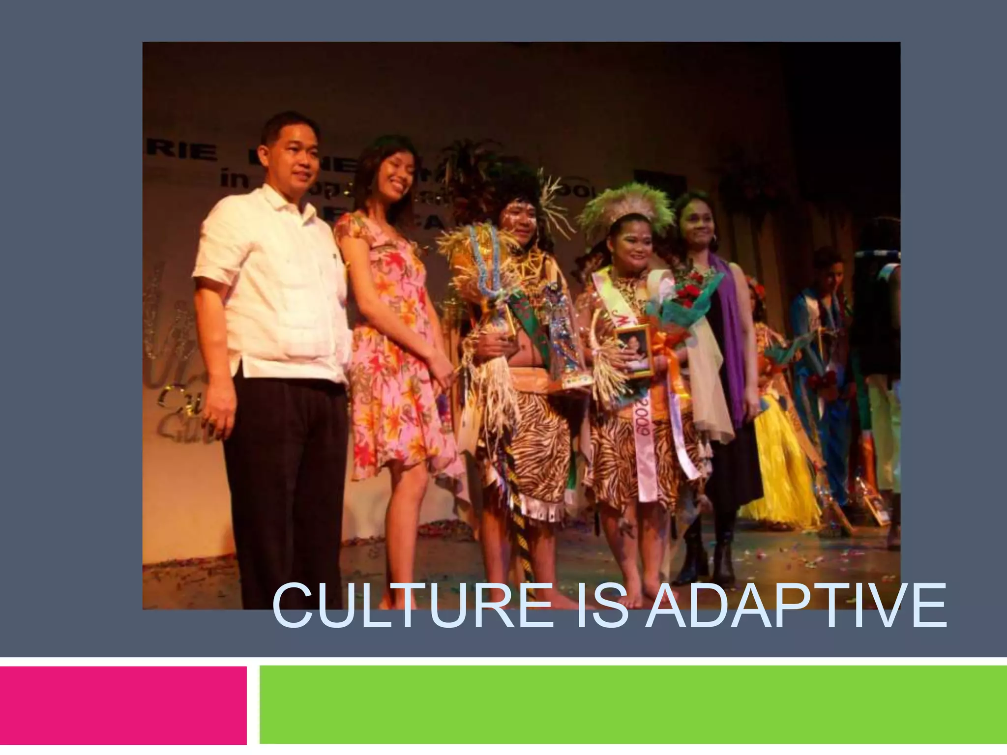 Characteristics of culture | PPTX