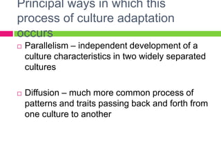 Characteristics of culture | PPTX